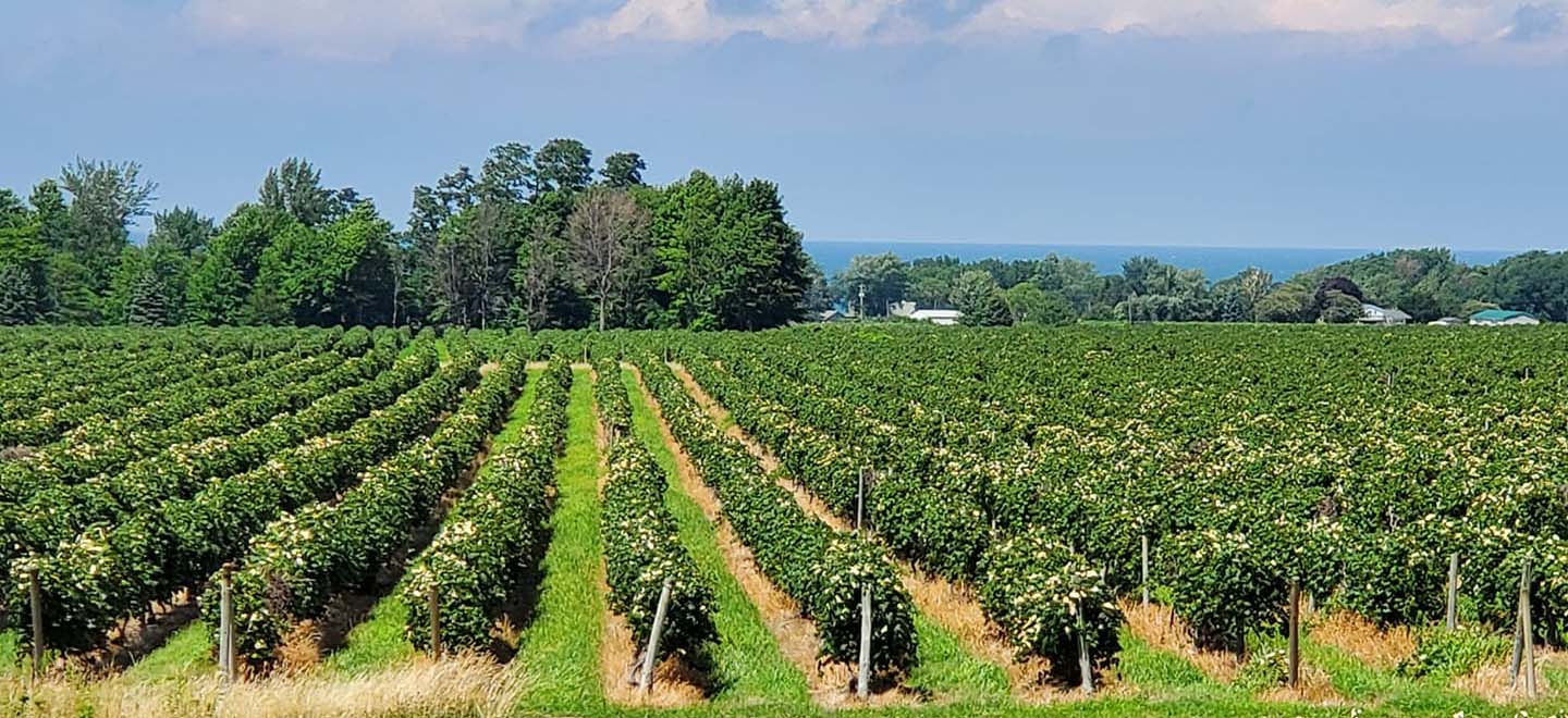About Us | Westfield Ag & Turf | Westfield, NY